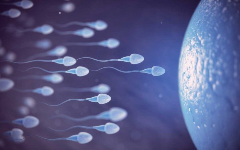 Vasectomy | Valparaiso Vasectomy Clinic